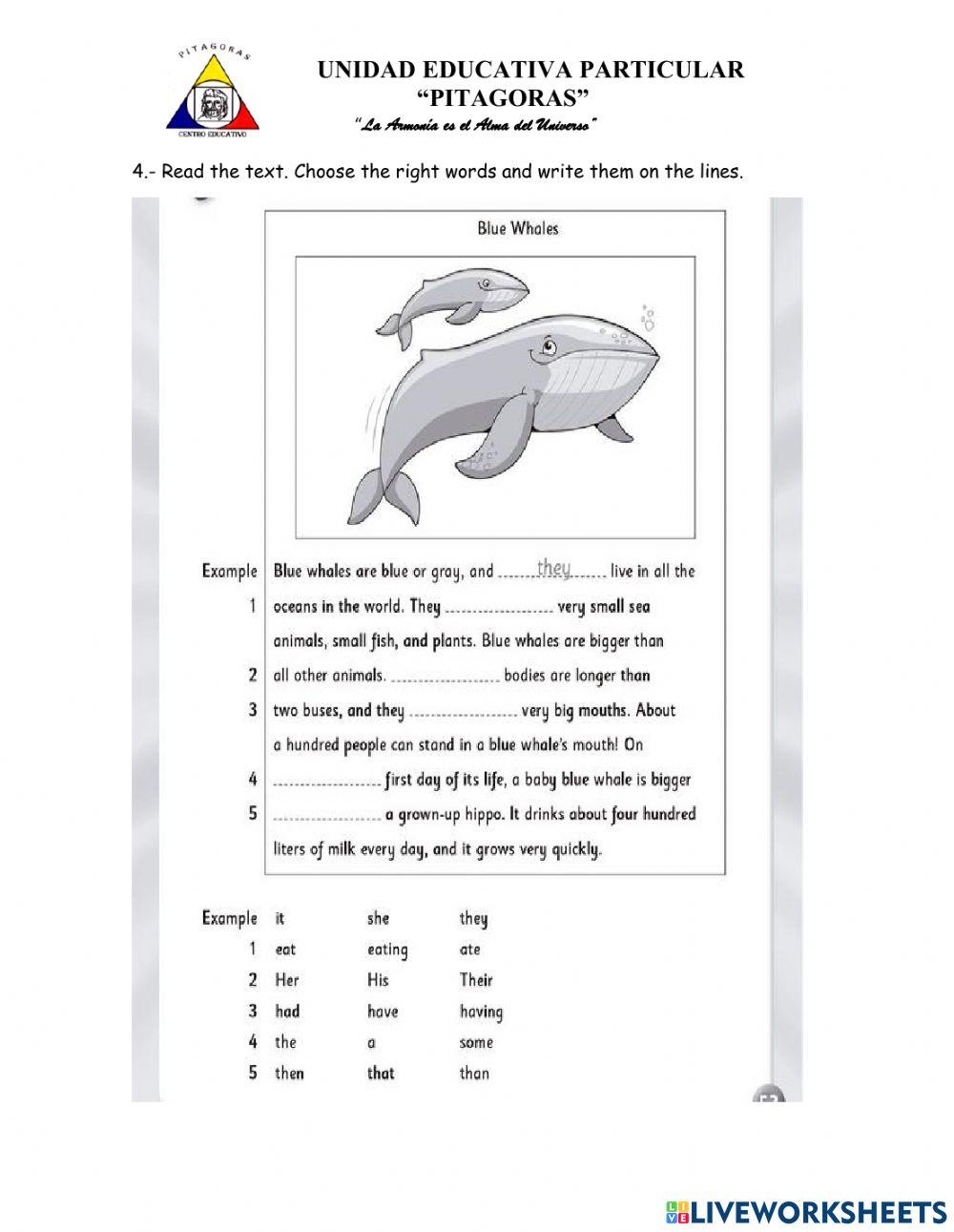 1112644 | Fifth basic final test | Chicaiza Chango Myrian