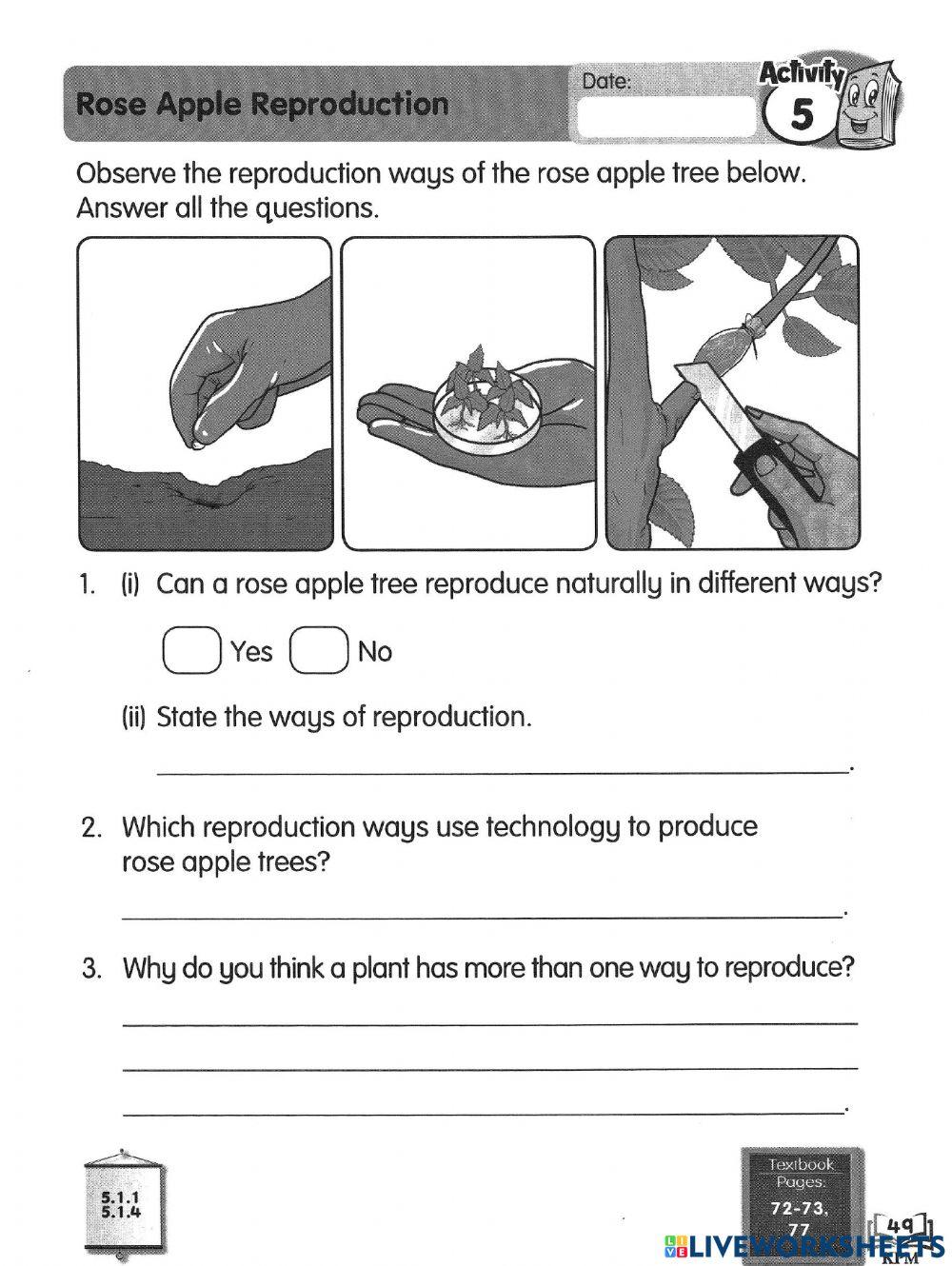 Science Year 3 PdPR Week 20 Wednesday 20.06.2021 - Unit 5