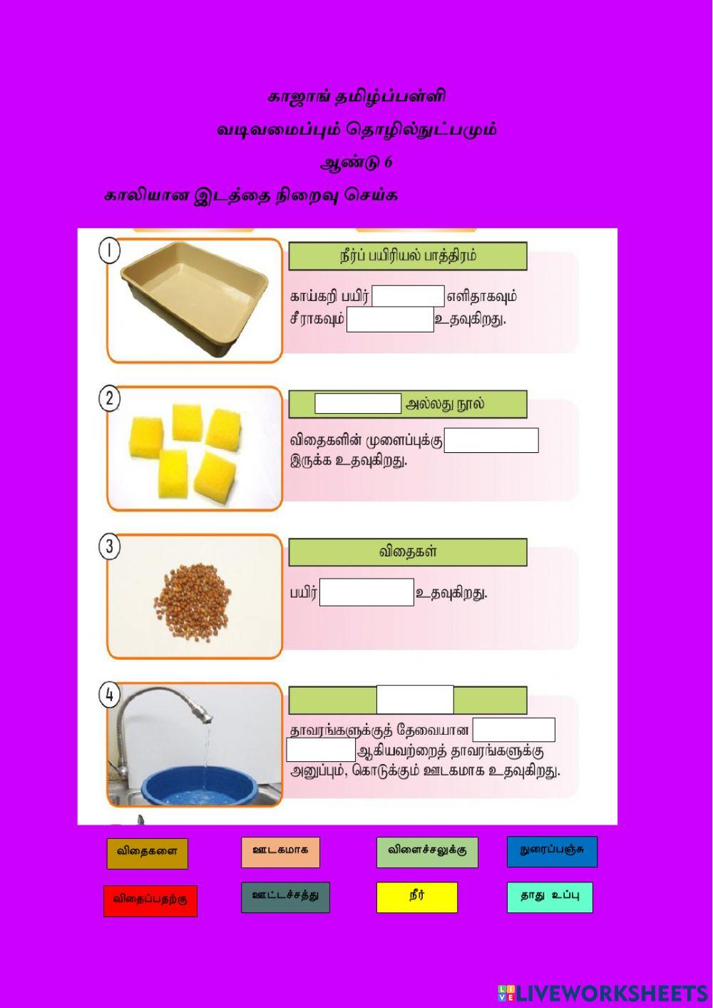Hydroponic | PATMA SUBARAMANYAM | Live Worksheets