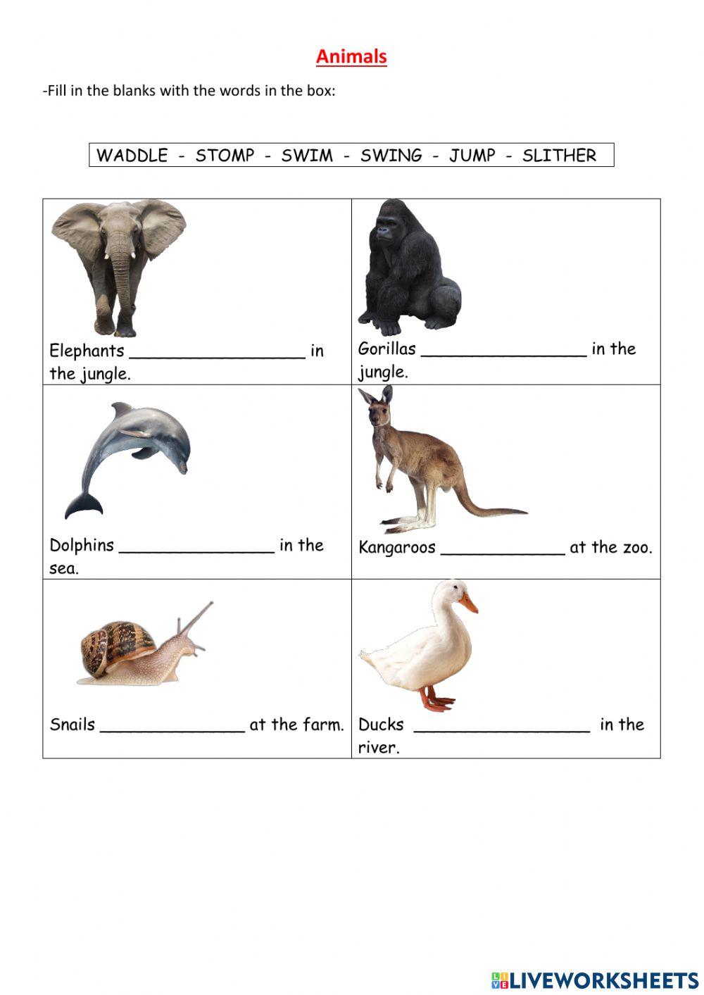 Animals online exercise for kids | Live Worksheets