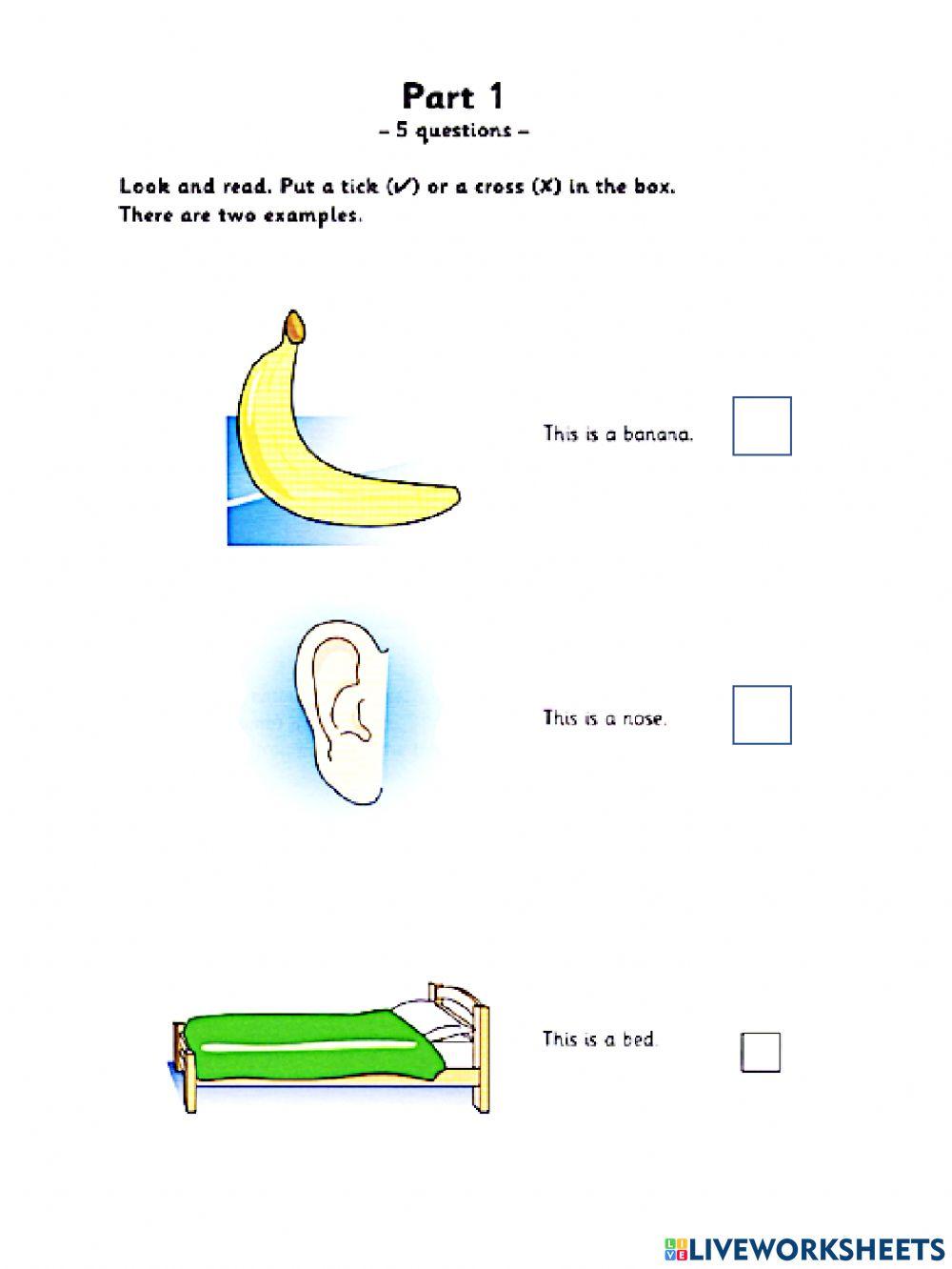 Starters 5 Part 1 Reading and Writing | Karla Fandiño