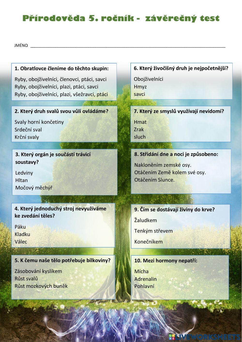 Mgr. interactive exercise | Live Worksheets