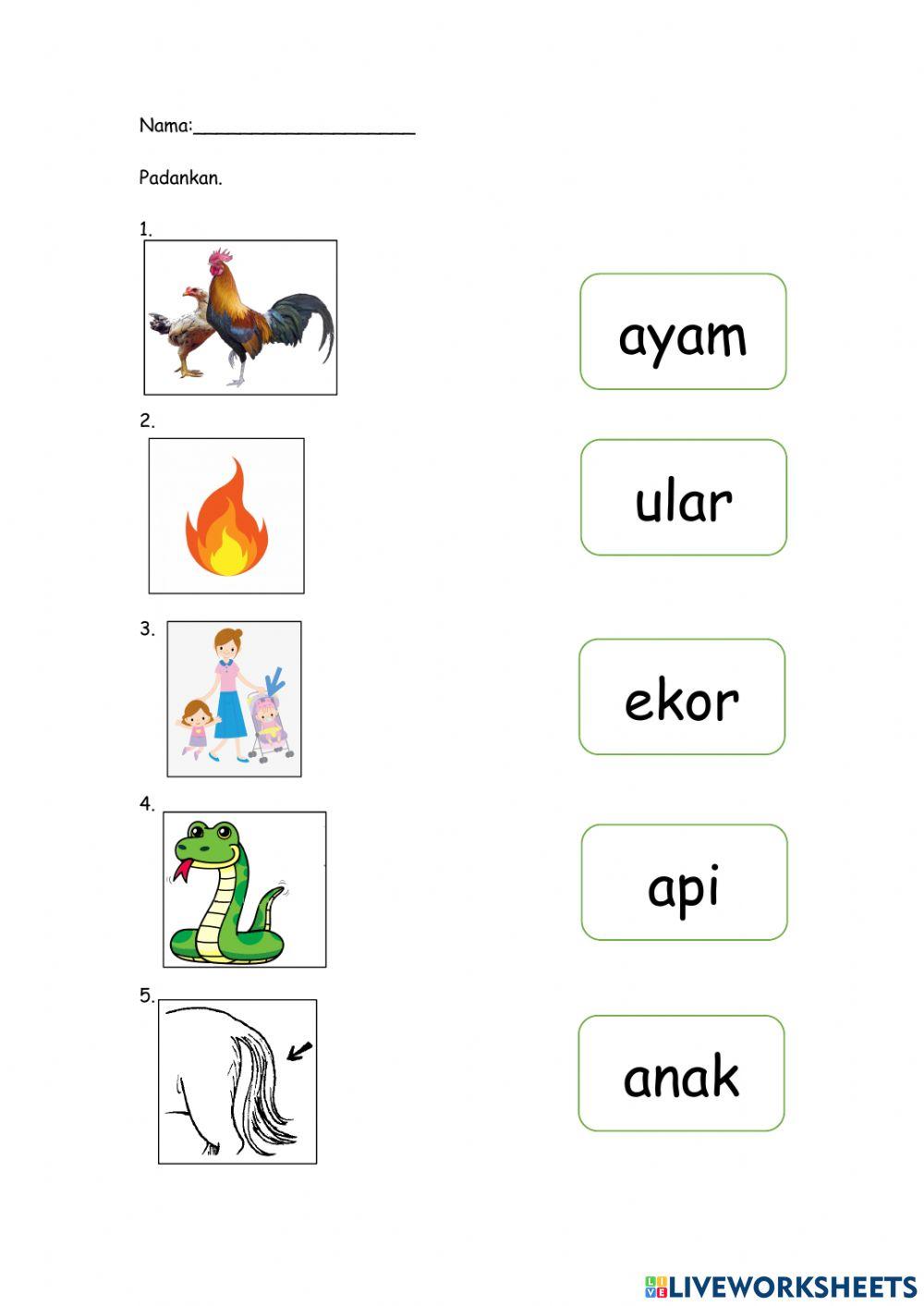 Bahasa melayu-padankan worksheet | Live Worksheets