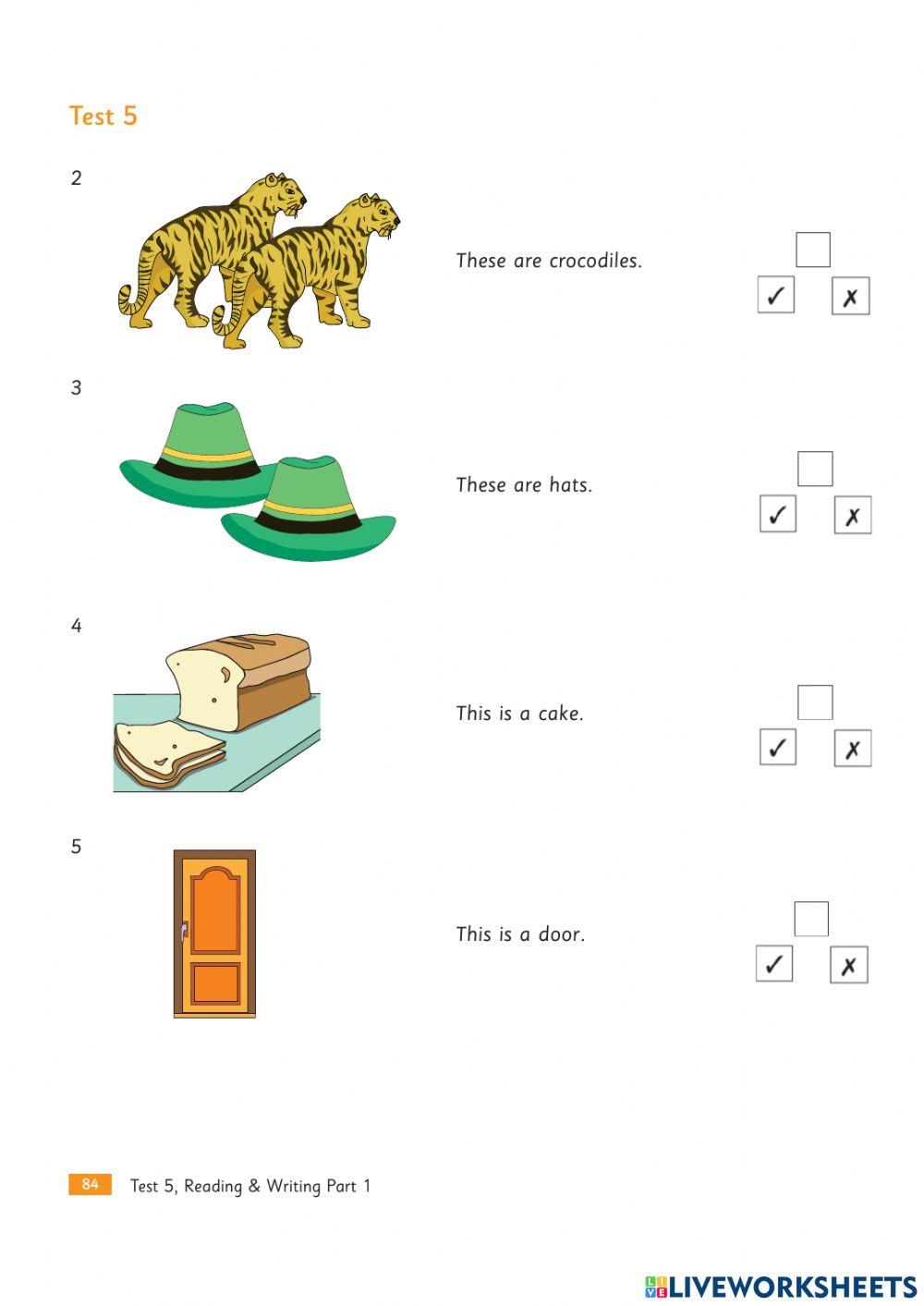 Practice Test Plus Starters (2nd): Test 5 - Reading and Writing online ...