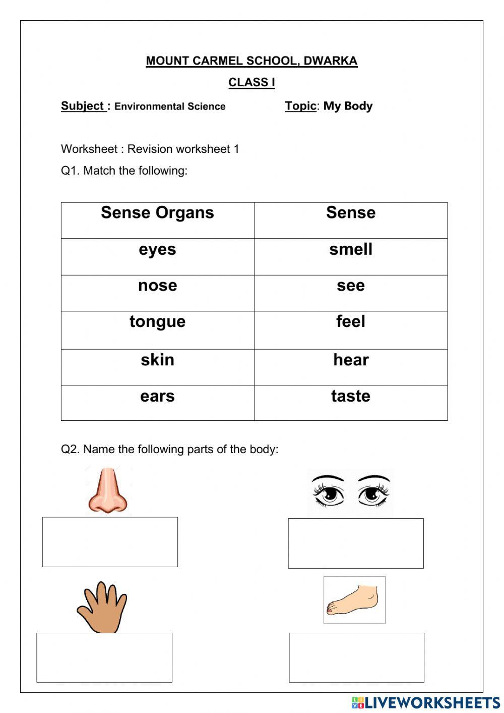 My Body online exercise for Class1 | Live Worksheets
