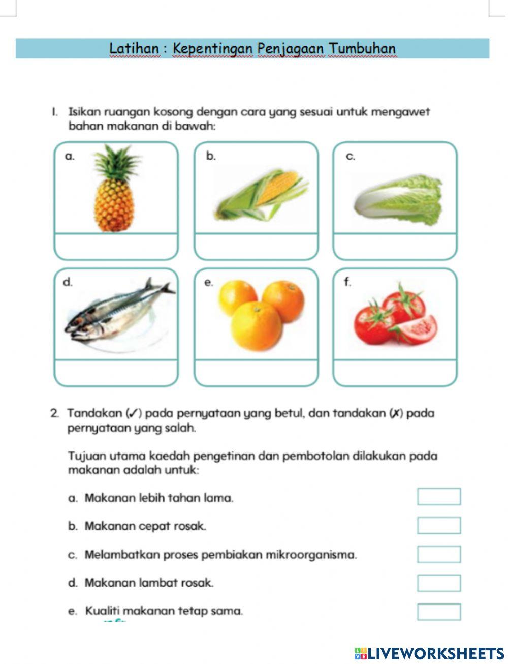 Pengawetan makanan free worksheet | Live Worksheets