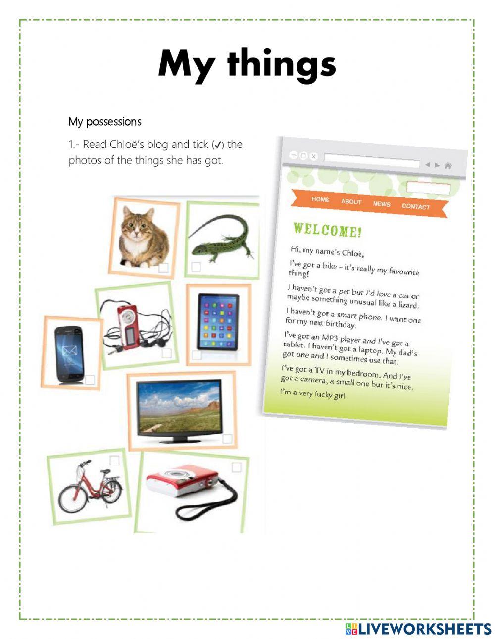 1118199 | My things | JoselineTorres | LiveWorksheets