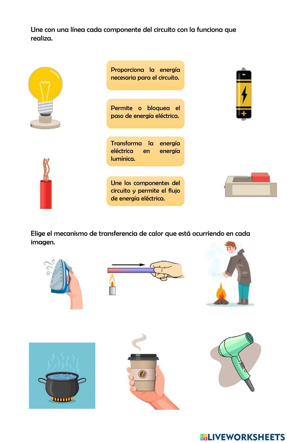 Examen Ciencias 2 1119930 | Griselda Rubi Cano Chavarria