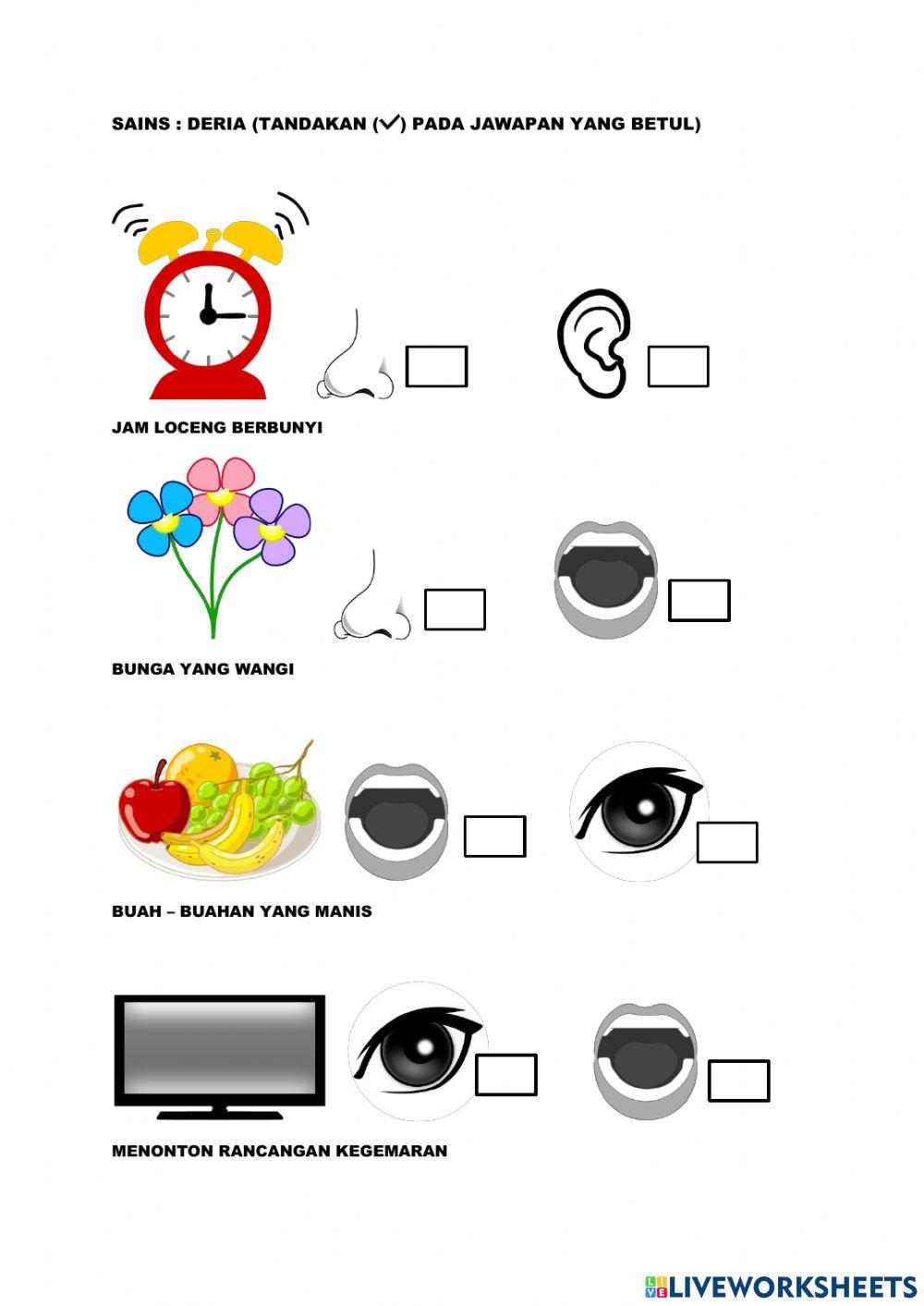 Sains activity for preschool | Live Worksheets