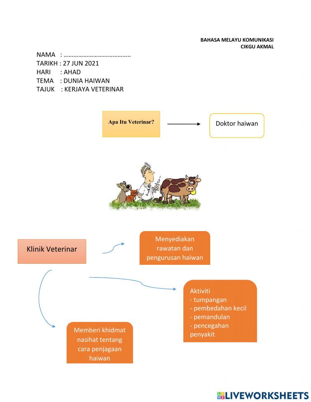 Kerjaya veterinar worksheet | Live Worksheets