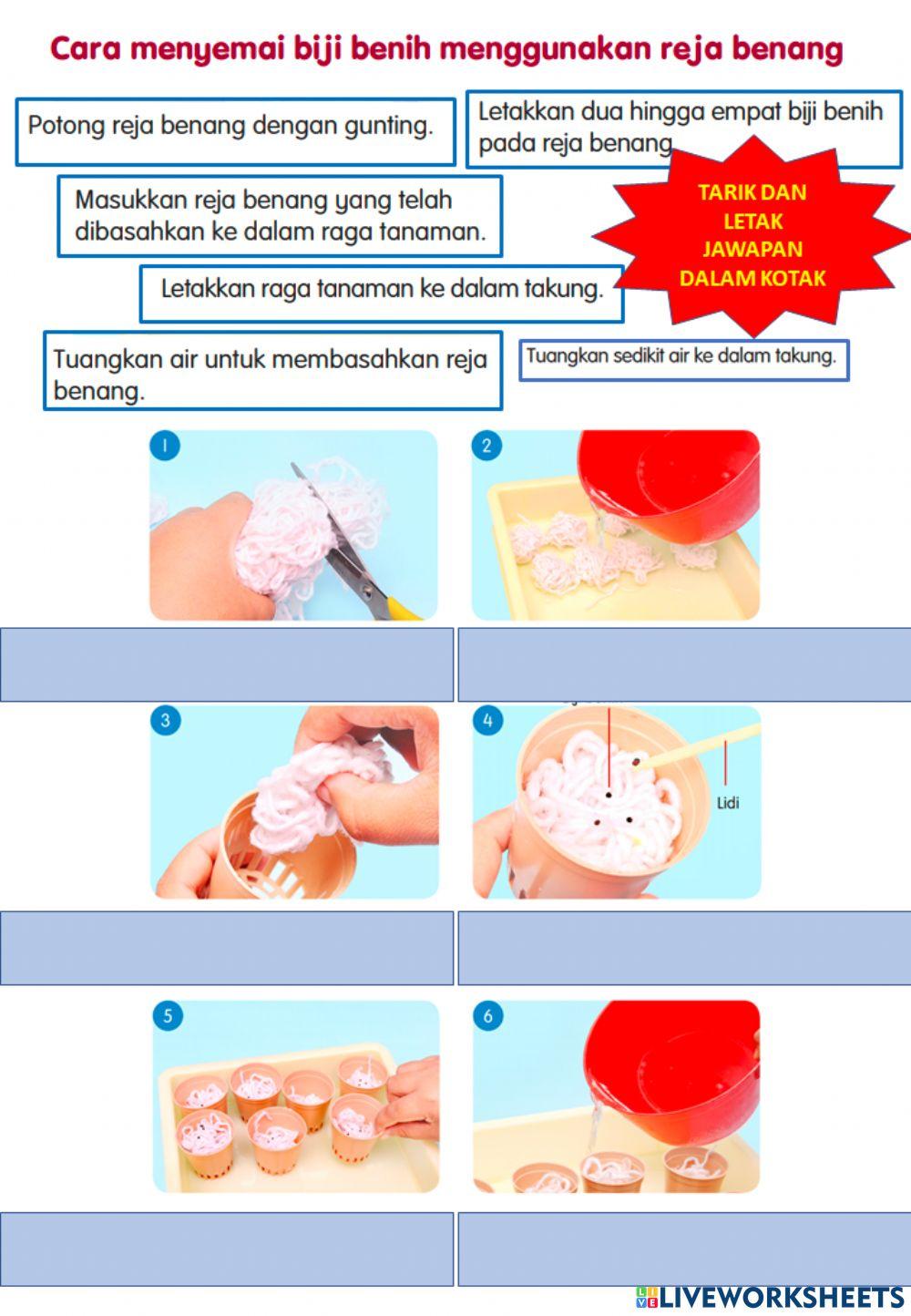 Rbt tahun 6 : hidroponik worksheet | Live Worksheets