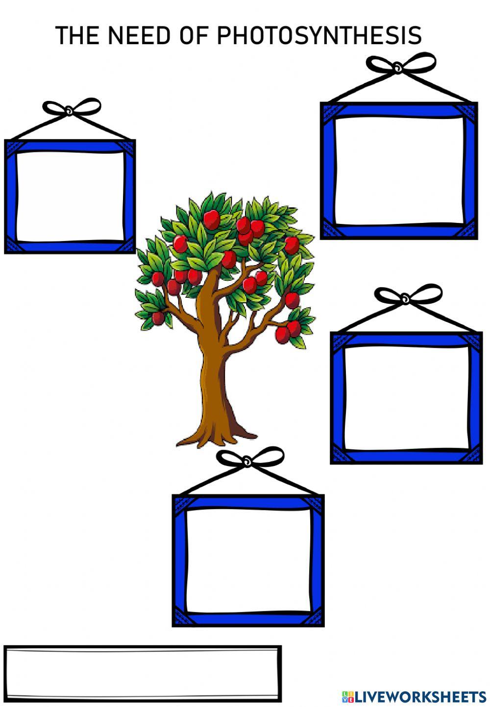 Photosynthesis | Free Interactive Worksheets | 1122375