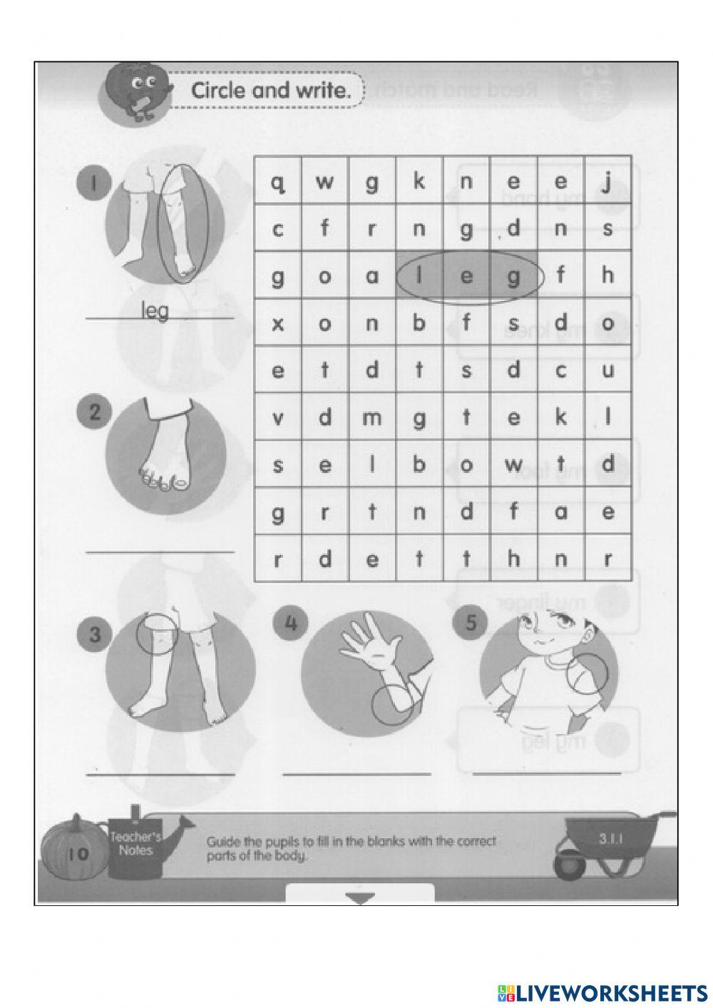 Write again worksheet | Live Worksheets