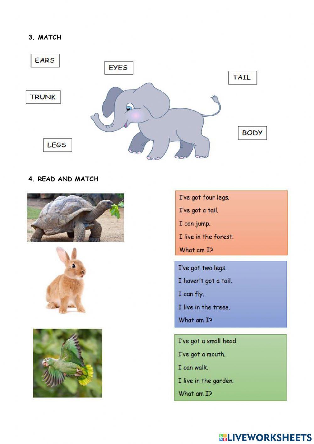 English practice interactive worksheet for 3 | Live Worksheets