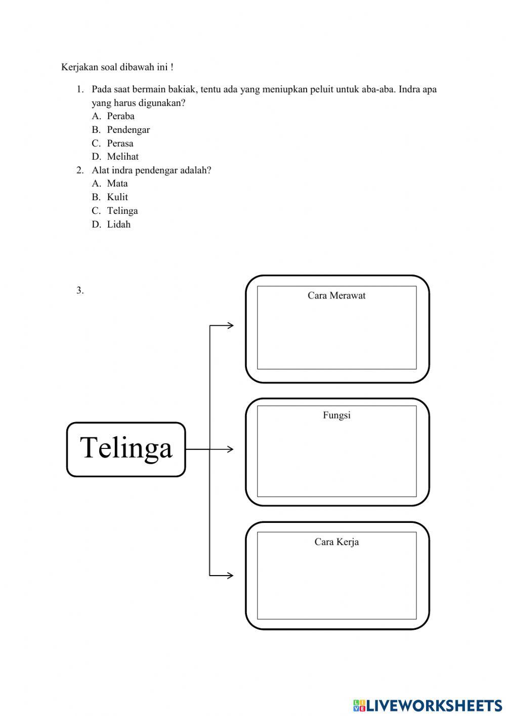 Telinga exercise | Live Worksheets