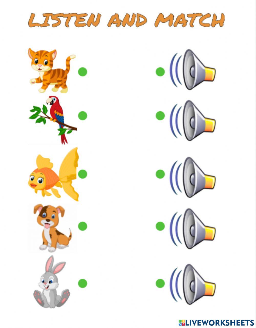 Pets online exercise for Grade 1 | Live Worksheets