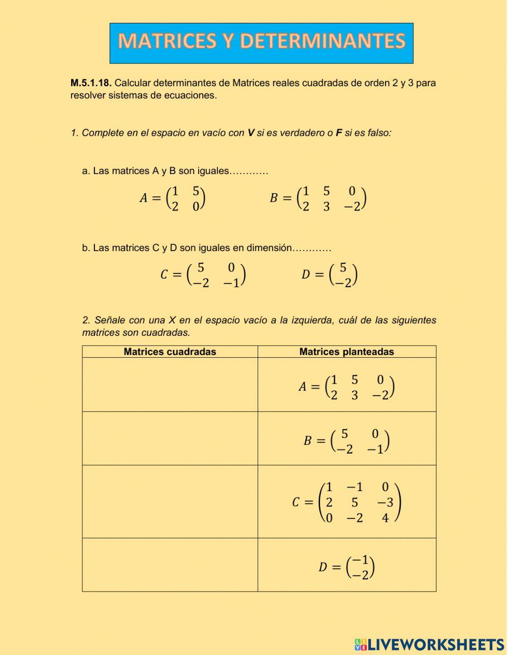 Matrices y determinantes interactive worksheet | Live Worksheets