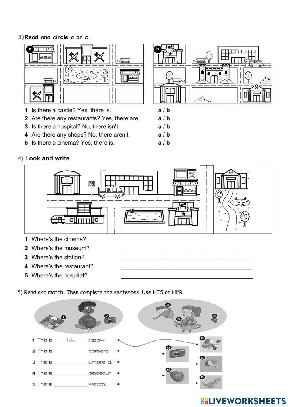 Practical Assignment N° 2 worksheet | Live Worksheets