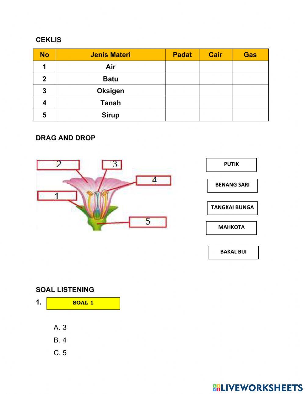 MODUL ONLINE | Free Interactive Worksheets | 5080649