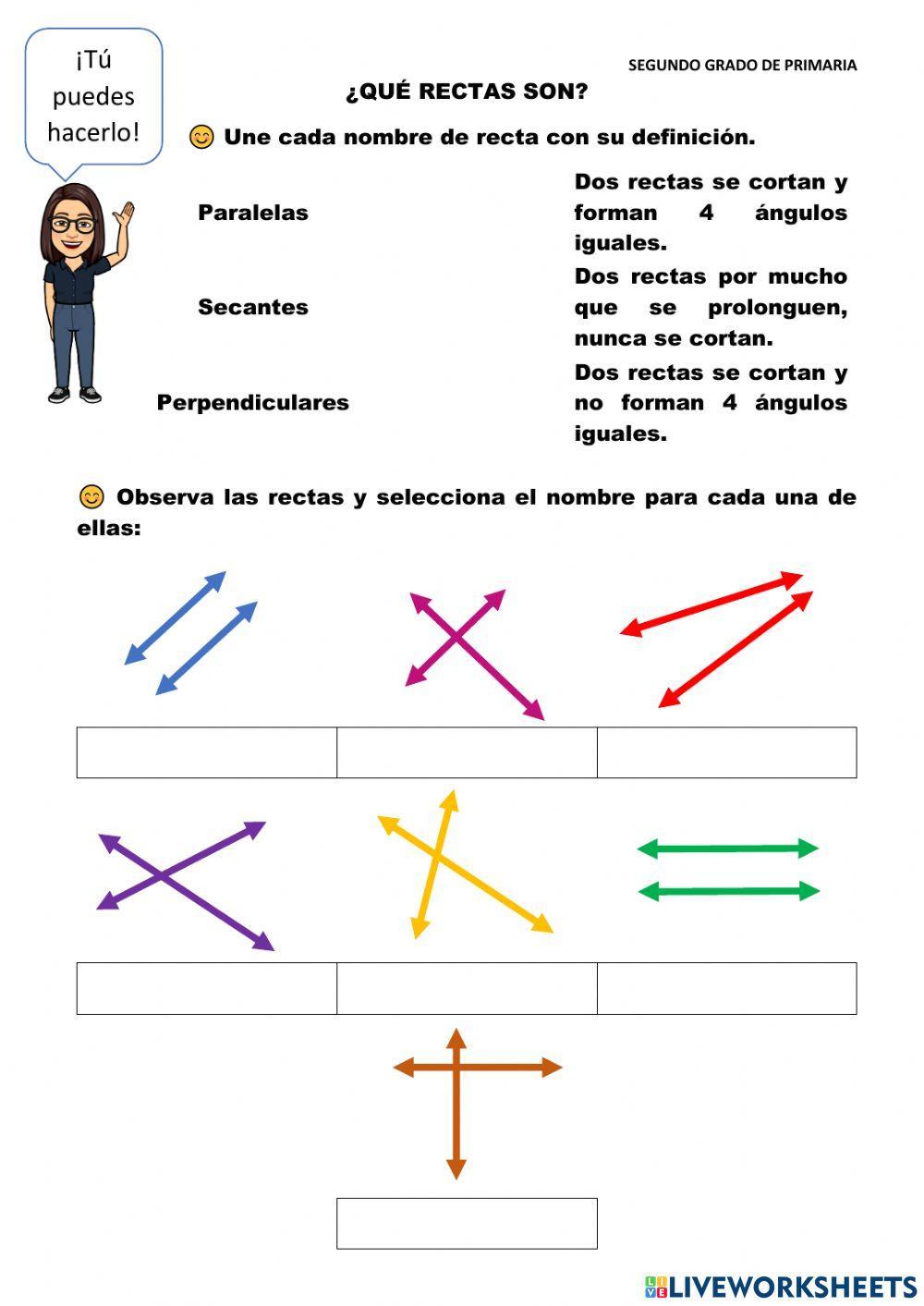 Plantilla Con Lineas Intersecantes Paralelas Y Perpendiculares