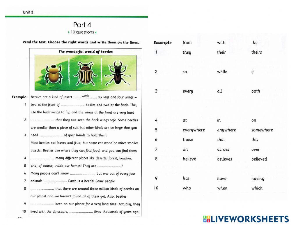 3065683 | Flyers Practice test Unit 3 | Le Du