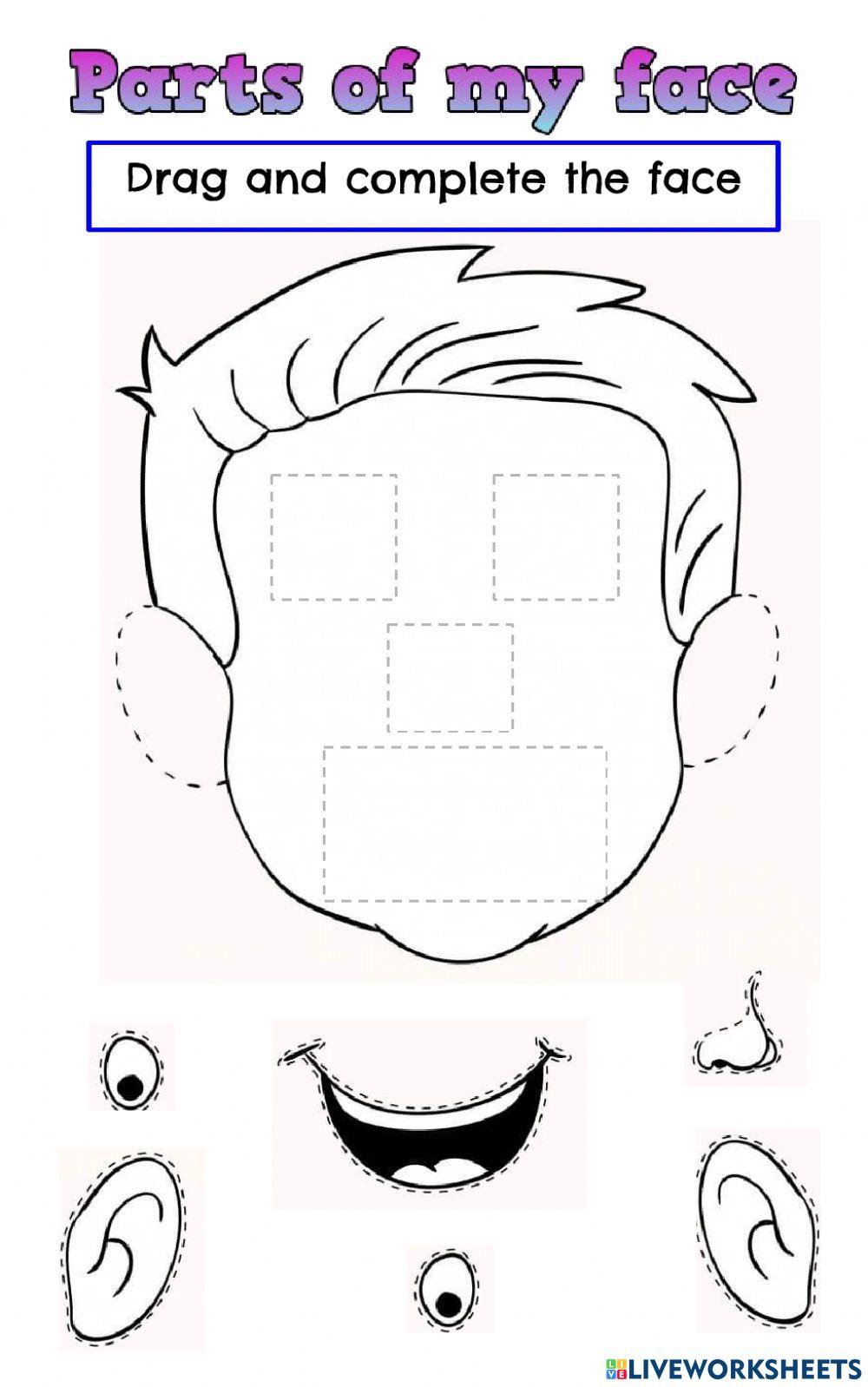 Parts Of The Face For Preschool