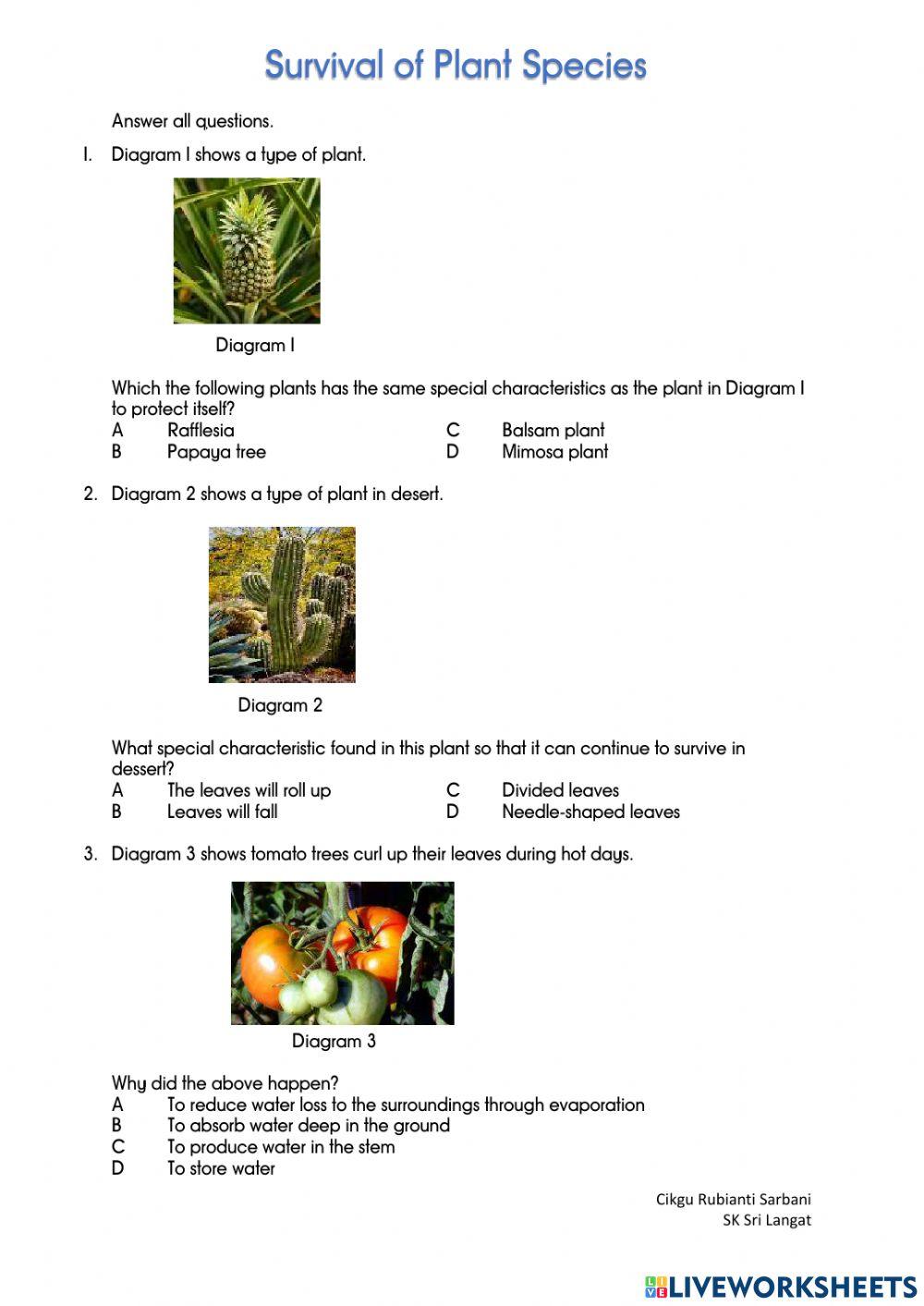 SURVIVAL OF PLANT SPECIES | rubiantisarbani | Live