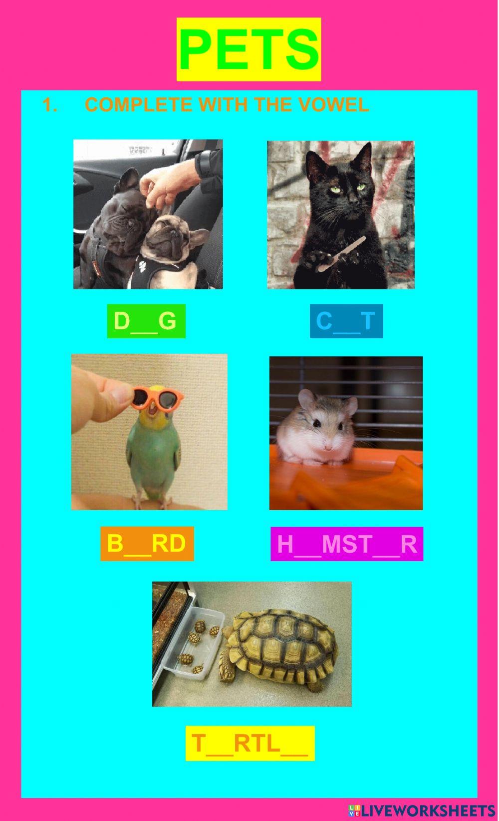 Pets online exercise for Grade 1 | Live Worksheets