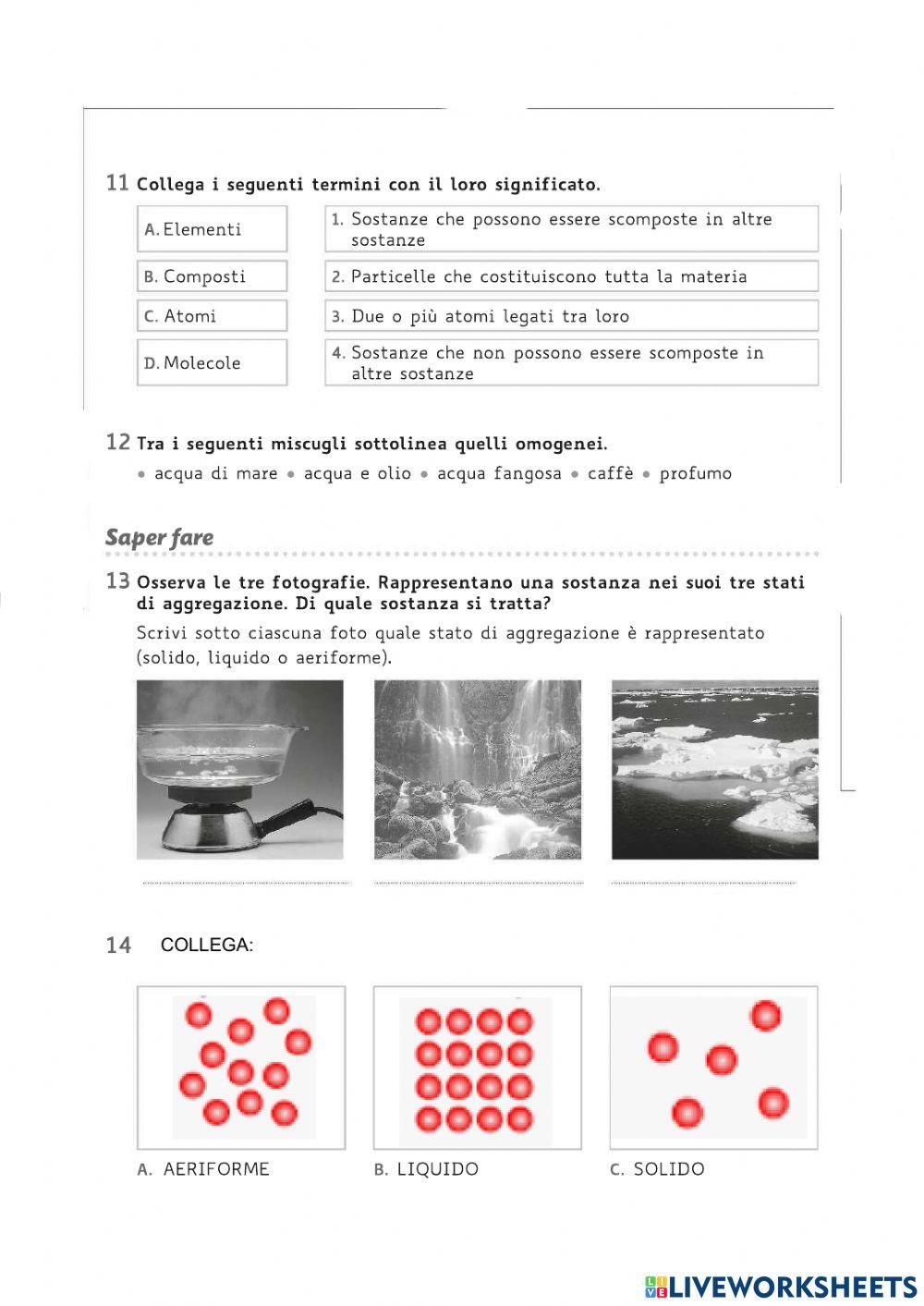 Verifica LE PRO… | Free Interactive Worksheets | 1132687