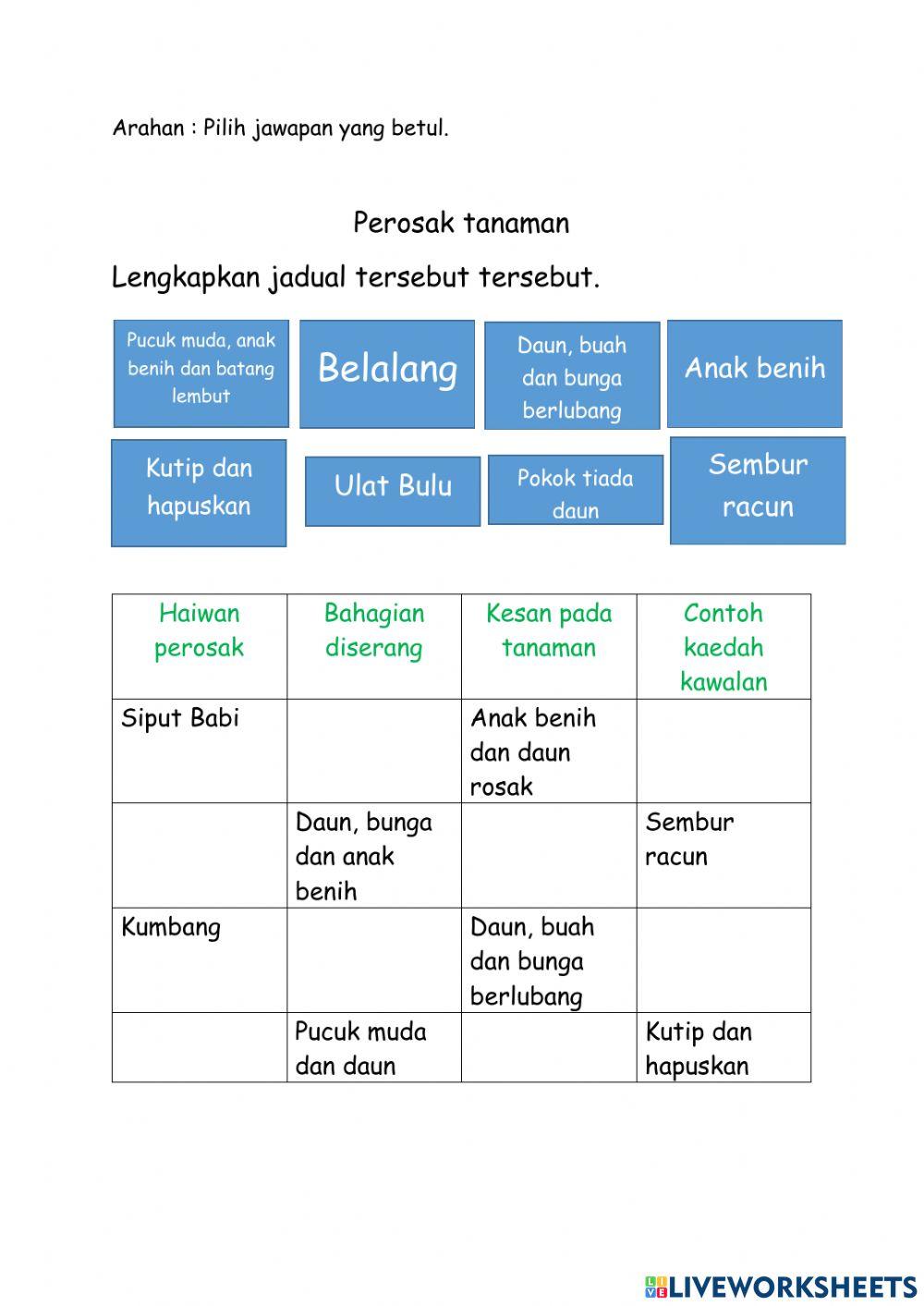 Tanaman 3 worksheet | Live Worksheets