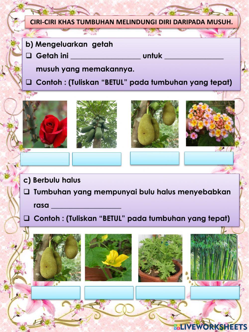 Tumbuhan:Melindungi Diri Daripada Musuh online exercise for | Live ...