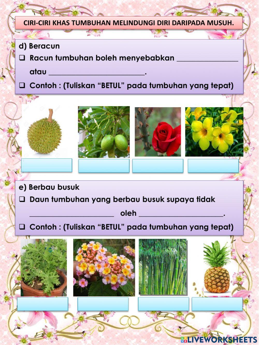 Tumbuhan:Melindungi Diri Daripada Musuh online exercise for | Live ...