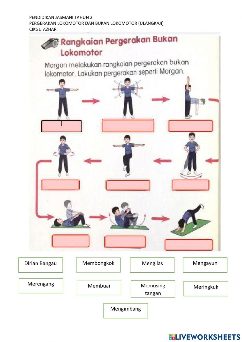 Pergerakan Lokomotor Dan Bukan Lokomotor Online Worksheet Live Worksheets