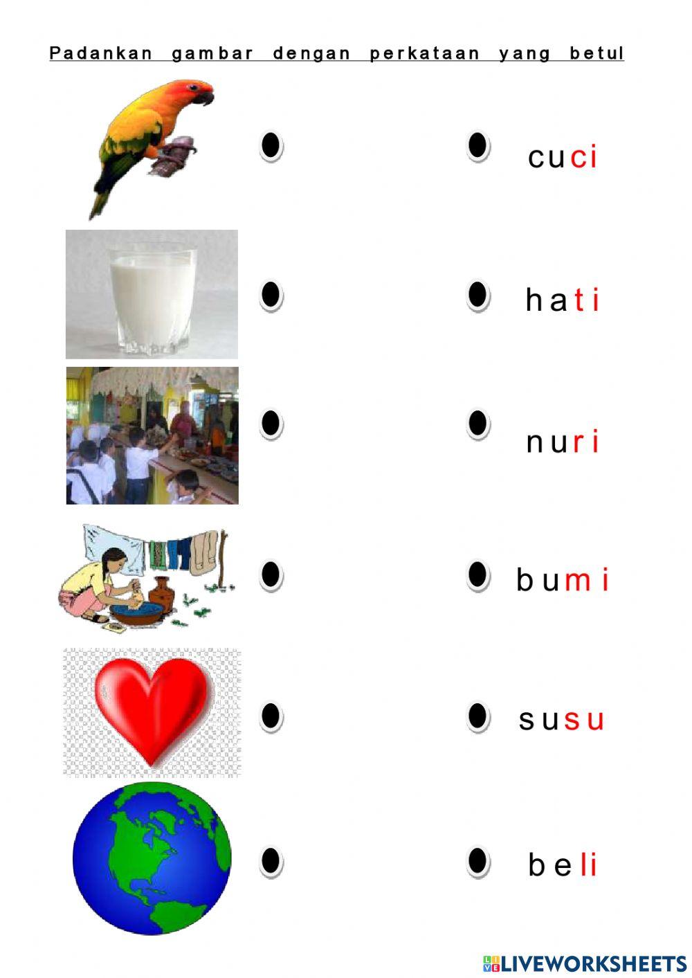 Padankan gambar dengan perkataan yang betul (KVKV 5) worksheet | Live ...