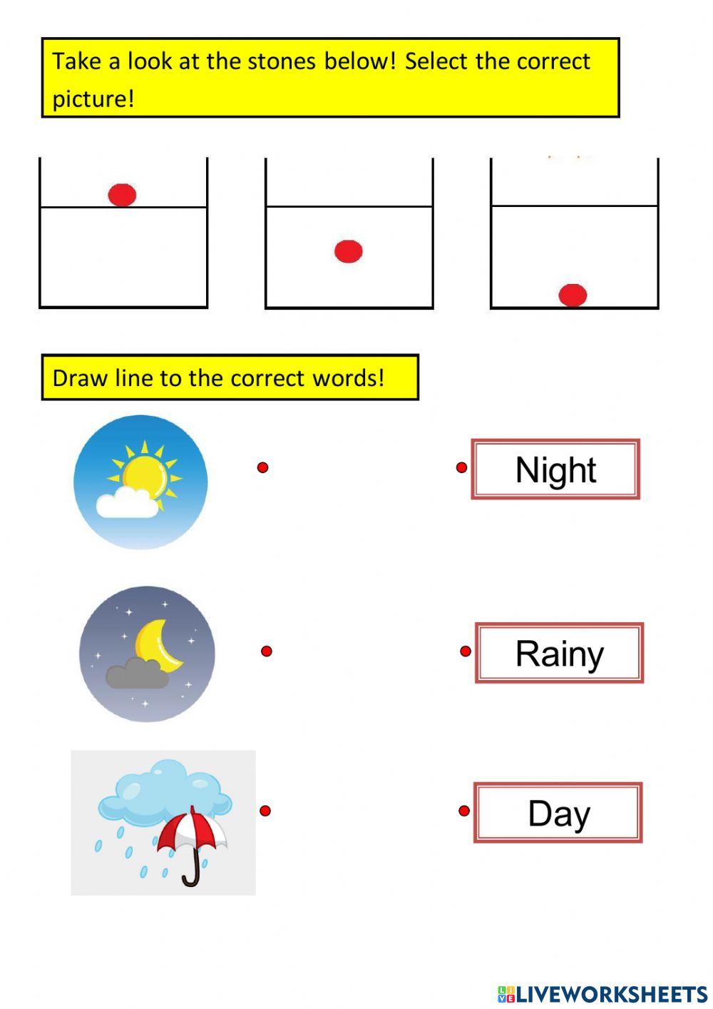 Sciences evaluation interactive worksheet | Live Worksheets
