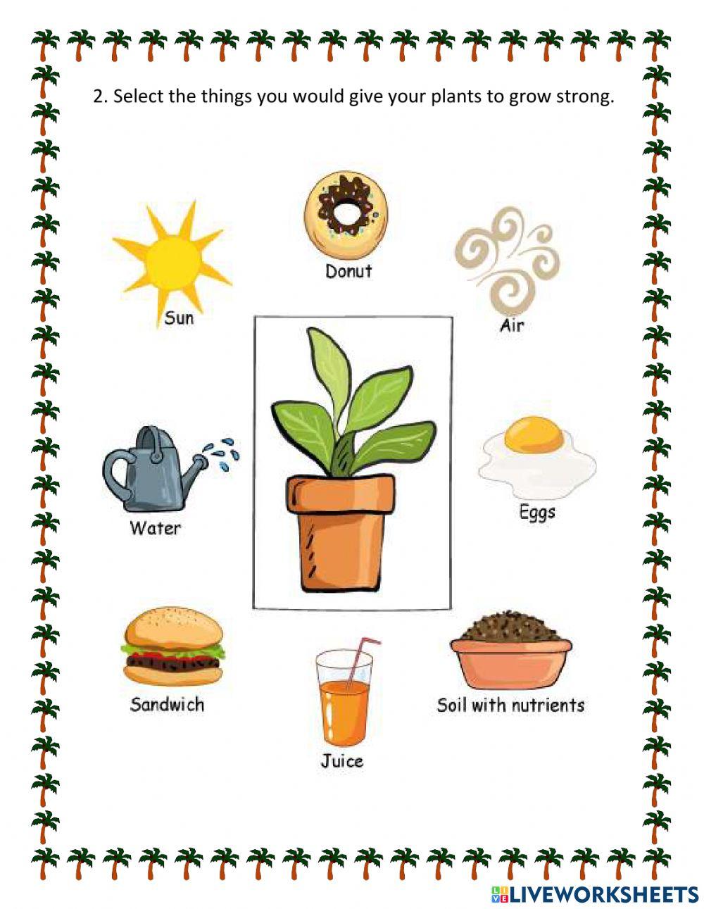 VCCE - Caring for the Environment worksheet | Live Worksheets