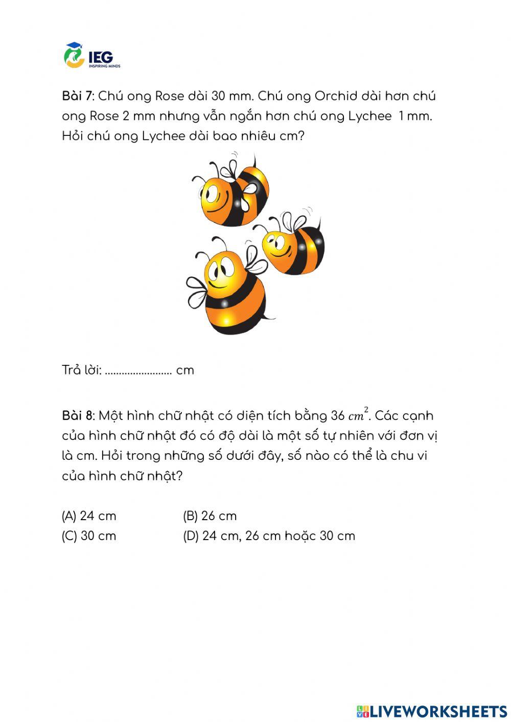 M3B-Bài 15-Kiểm tra cuối kì worksheet | Live Worksheets
