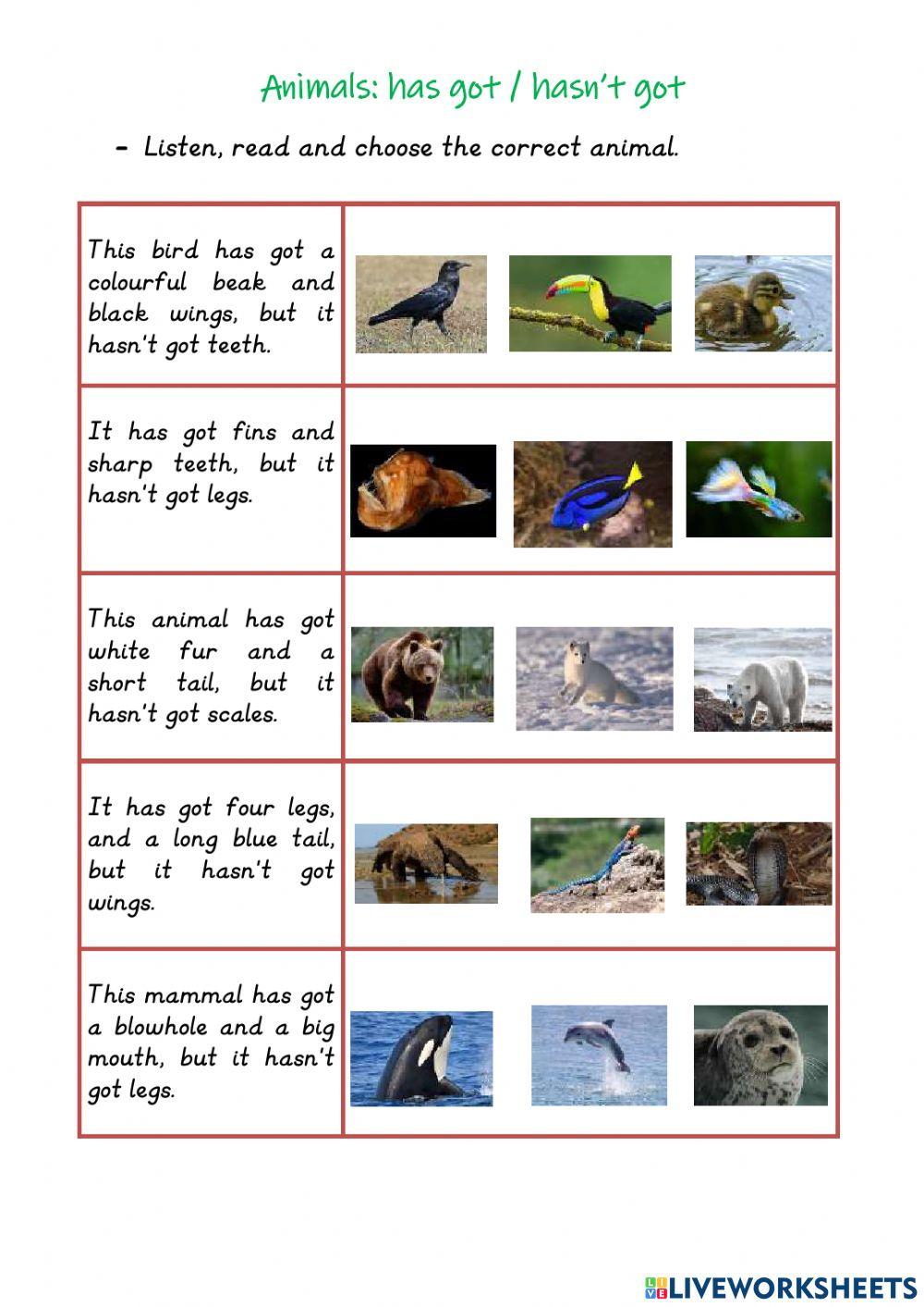 Animals: has go… | Free Interactive Worksheets | 1061061
