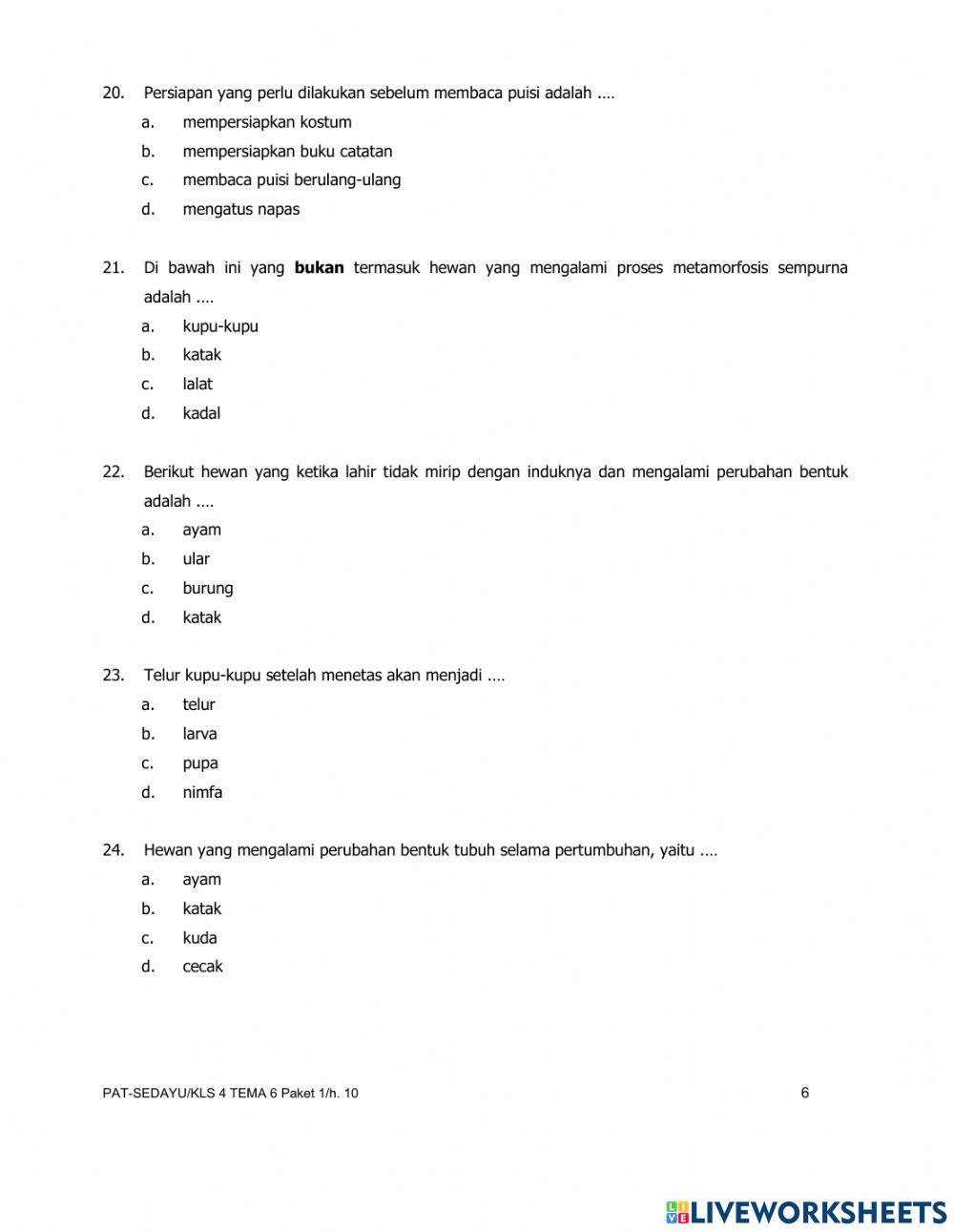 Pat 6.1 worksheet | Live Worksheets