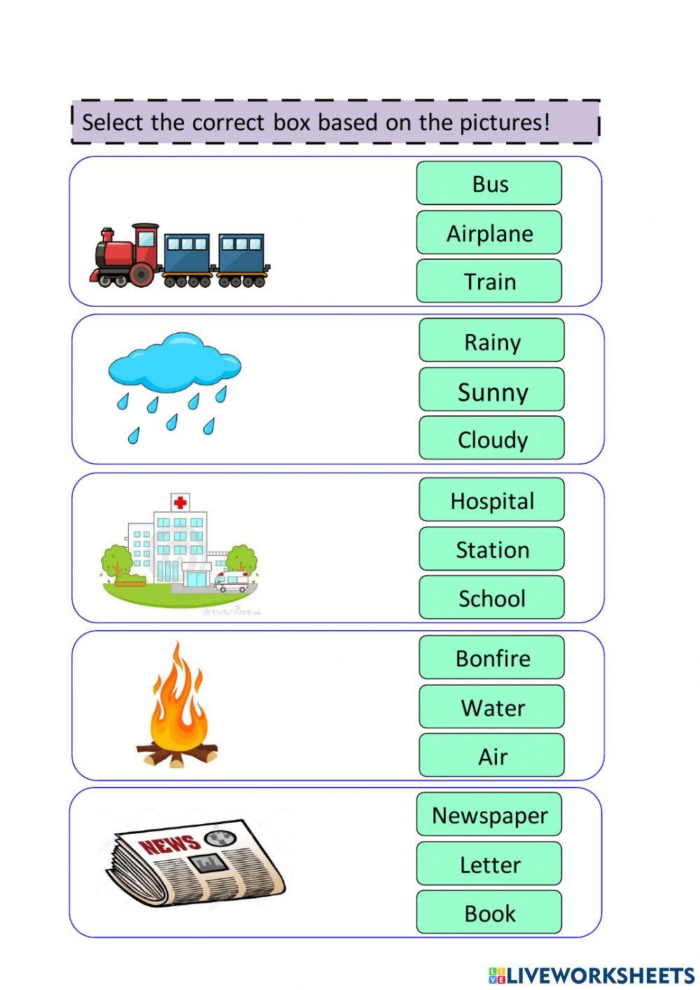 Science evaluation term 2 interactive worksheet | Live Worksheets