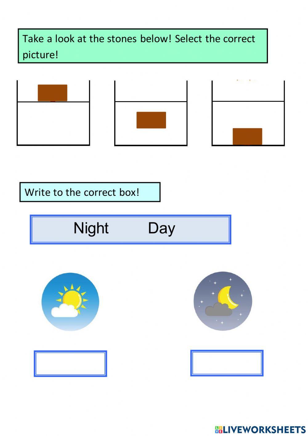 Science evaluation term 2 interactive worksheet | Live Worksheets