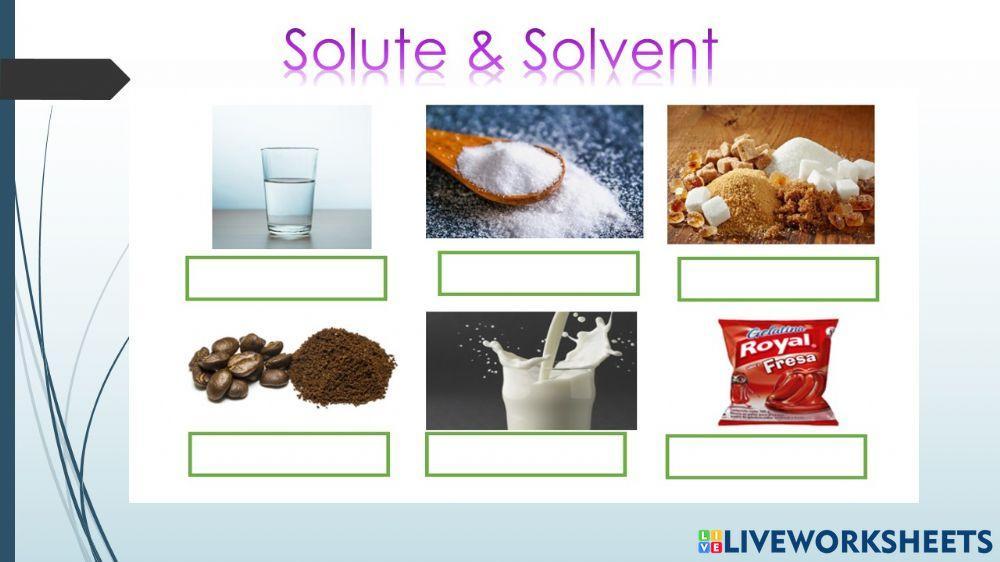 Solute And Solvent Interactive Worksheet Live Worksheets, 40% OFF