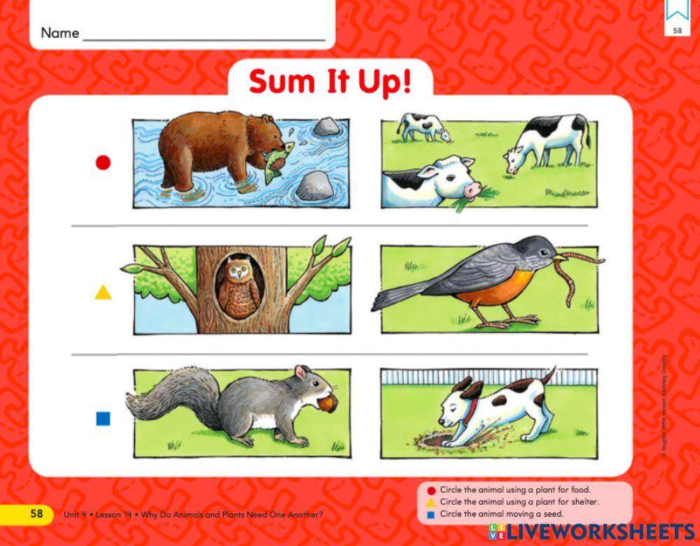 Why Do Animals and Plants Need One Another? 0742