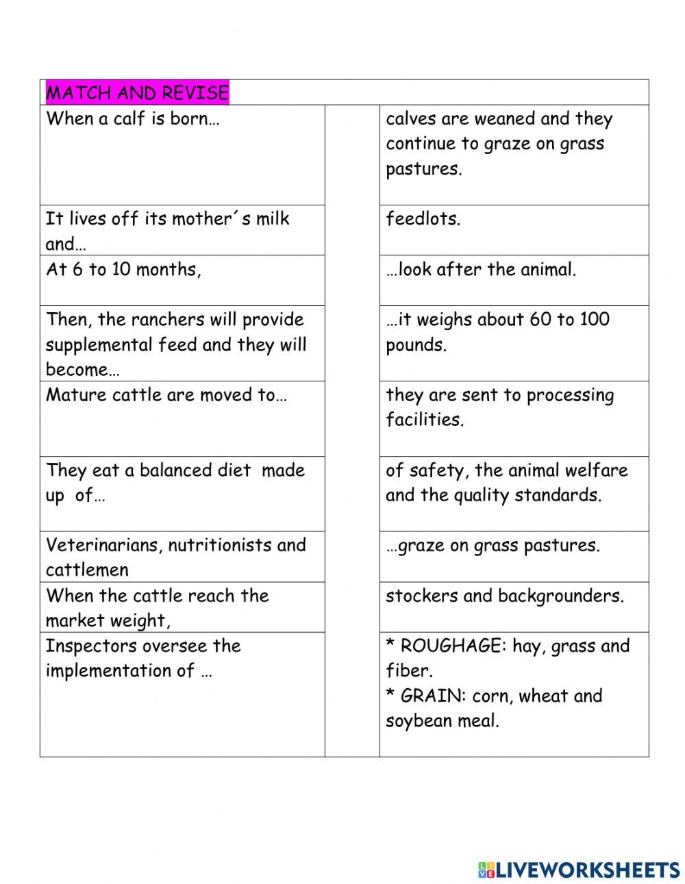 1067492 | The beef lifecycle | Paula Asin