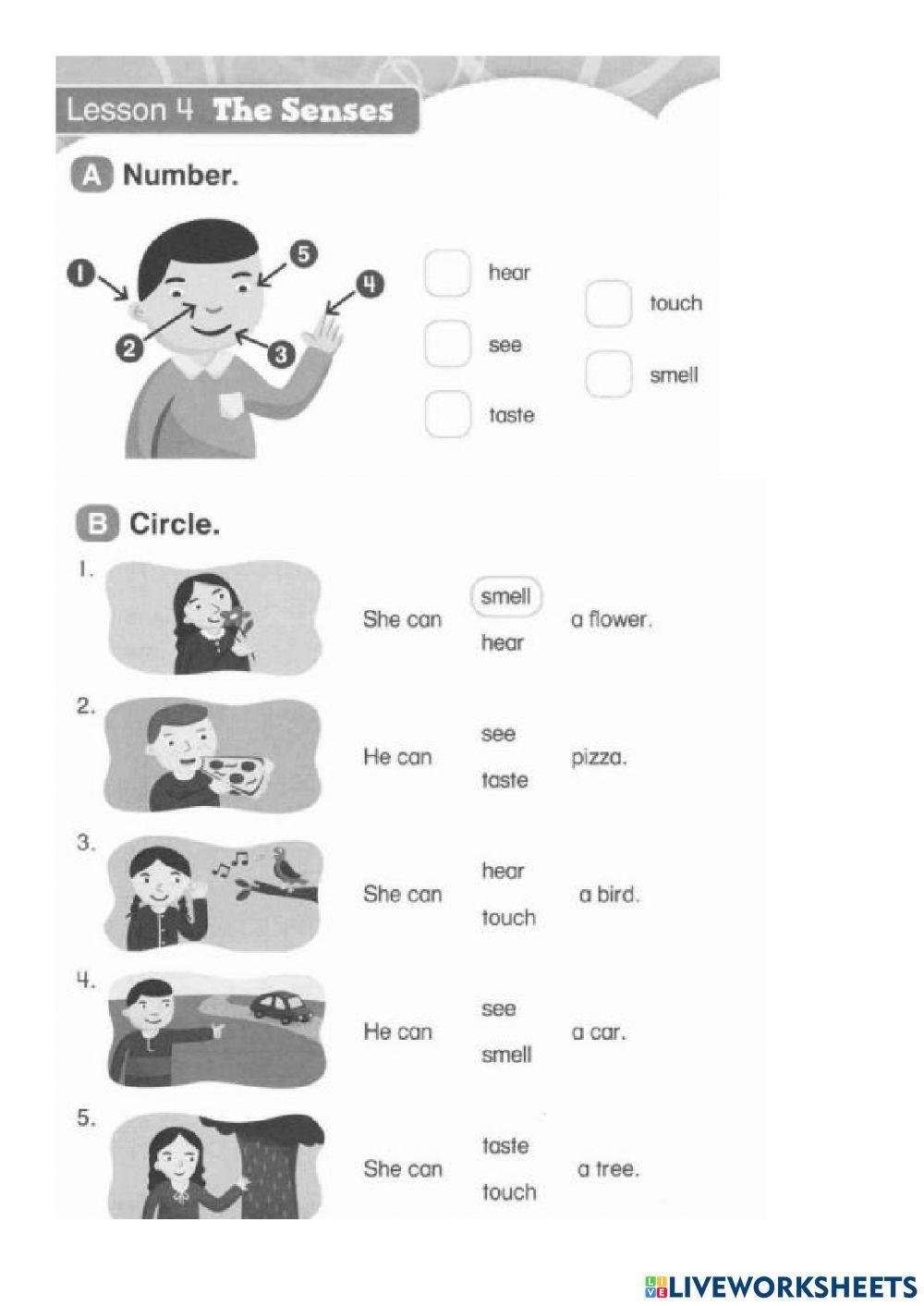 Everybody up 2 … | Free Interactive Worksheets | 1068271