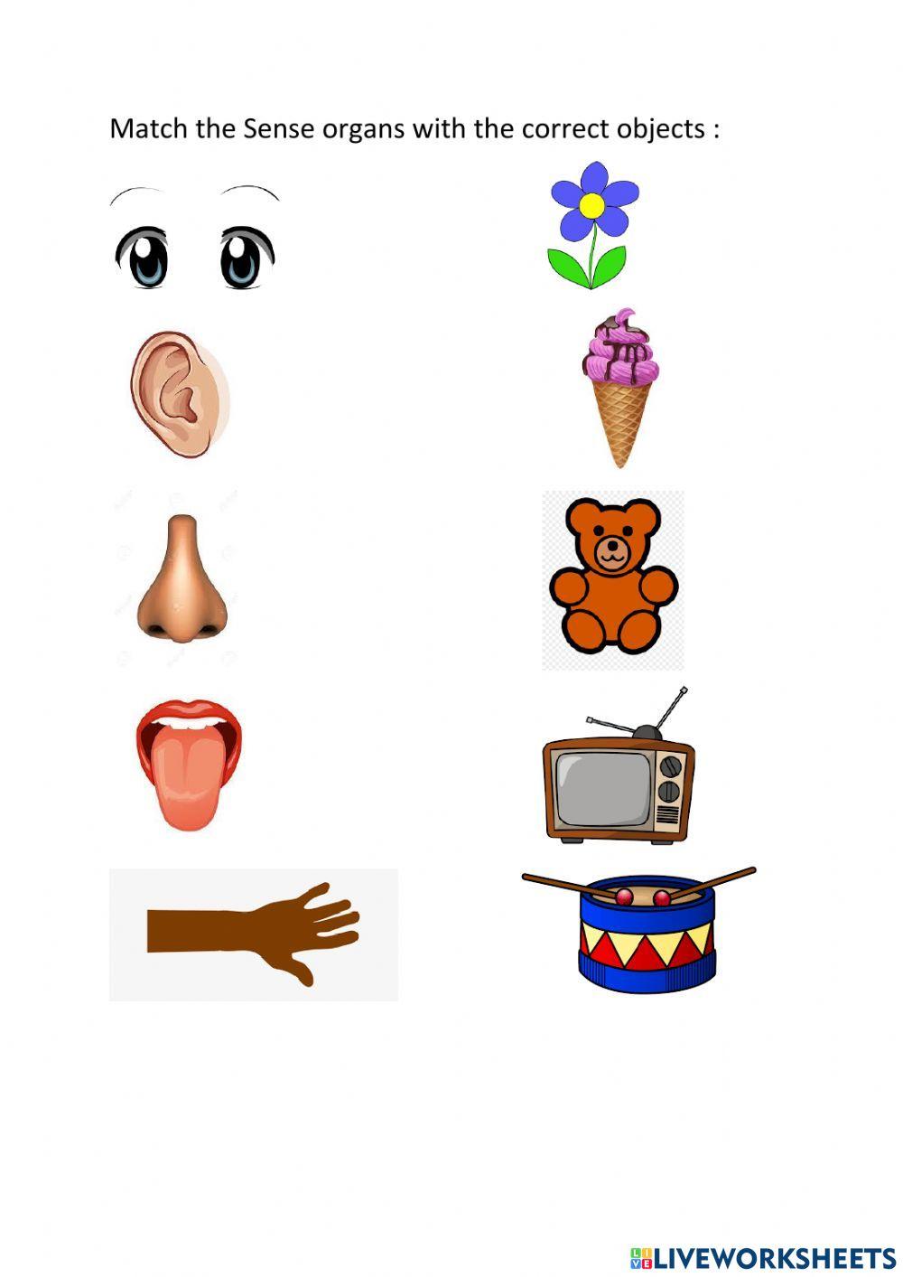 Sense Organs Online Pdf Exercise Live Worksheets sense-organs-online-pdf-exercise-live-worksheets