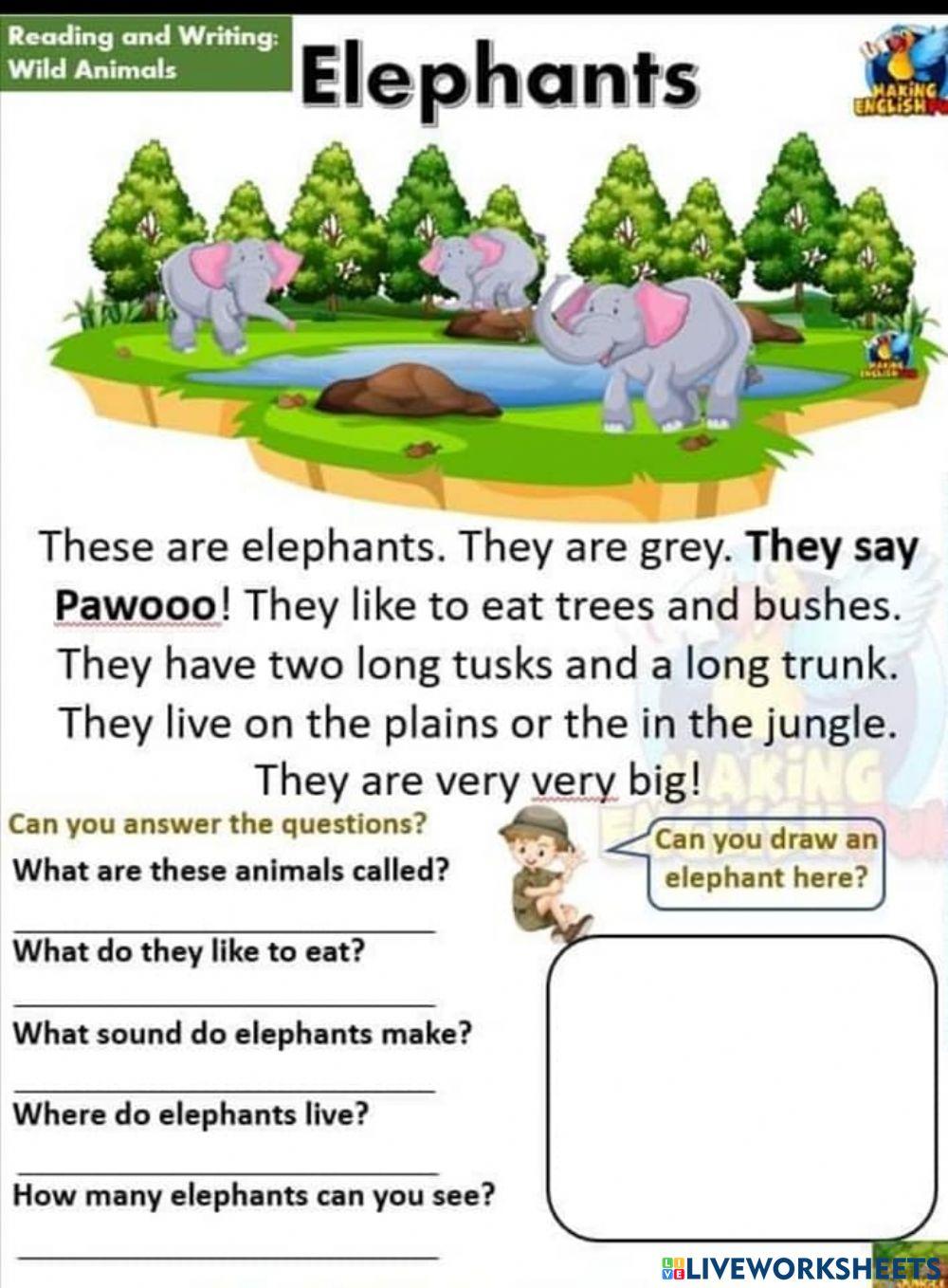 Kids 4 online exercise for kids 4 | Live Worksheets