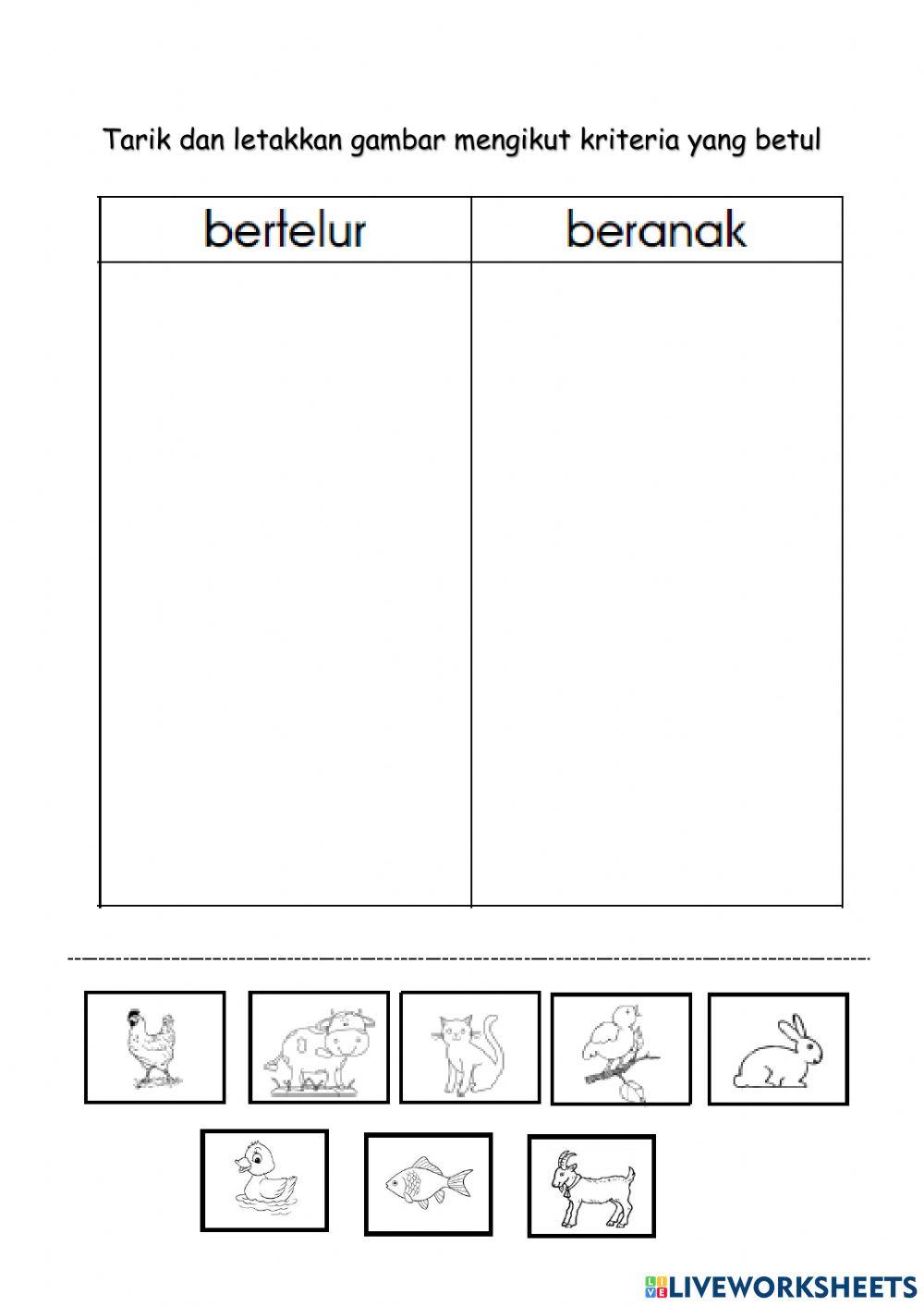Haiwan Jinak | Free Interactive Worksheets | 1069975