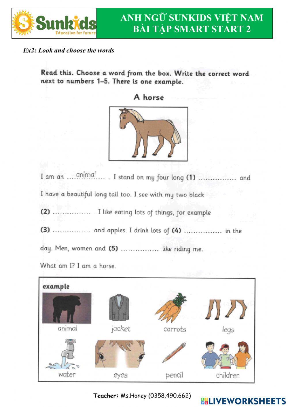Animals online exercise for grade 4 | Live Worksheets