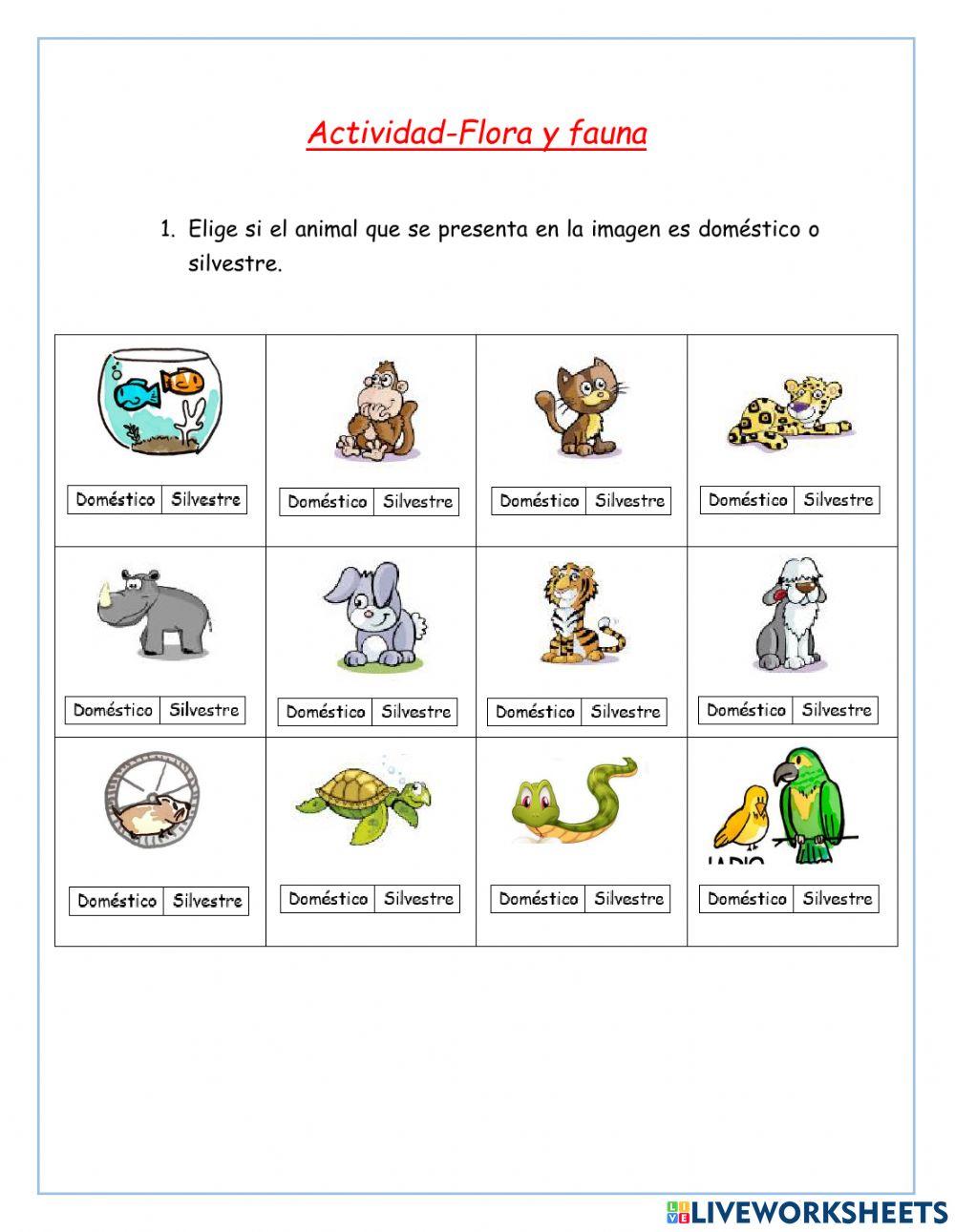 1071560 | La flora y fauna | Miss Leidy 2B